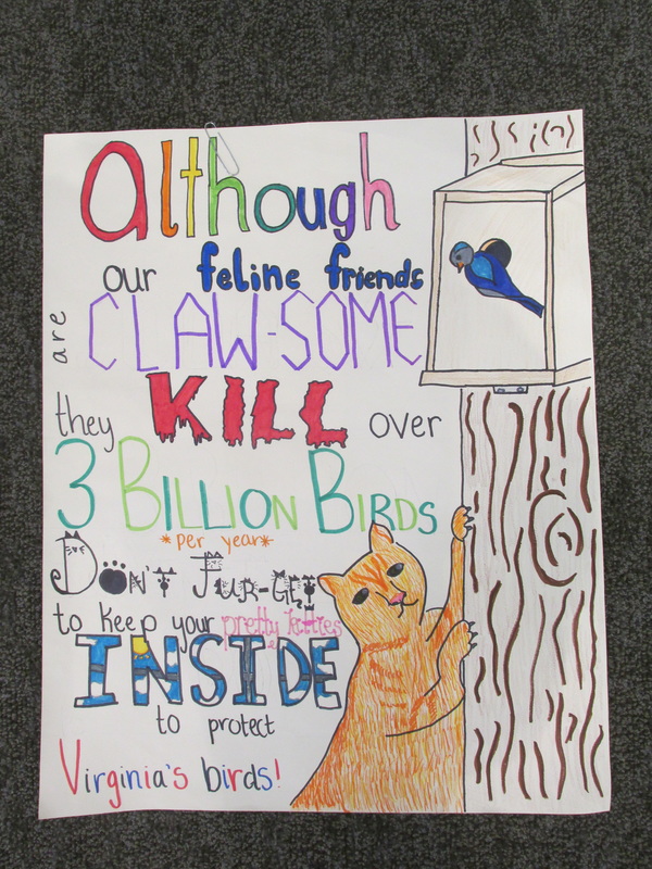 Bird Conservation Poster Contest Archives - Piedmont Virginia Bird Club